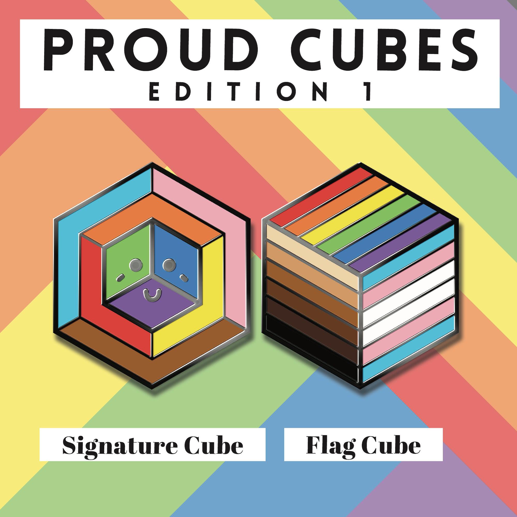 Proud Cubes Pins | 1st Edition | Celebrate Your Identity | Proud Zebra
