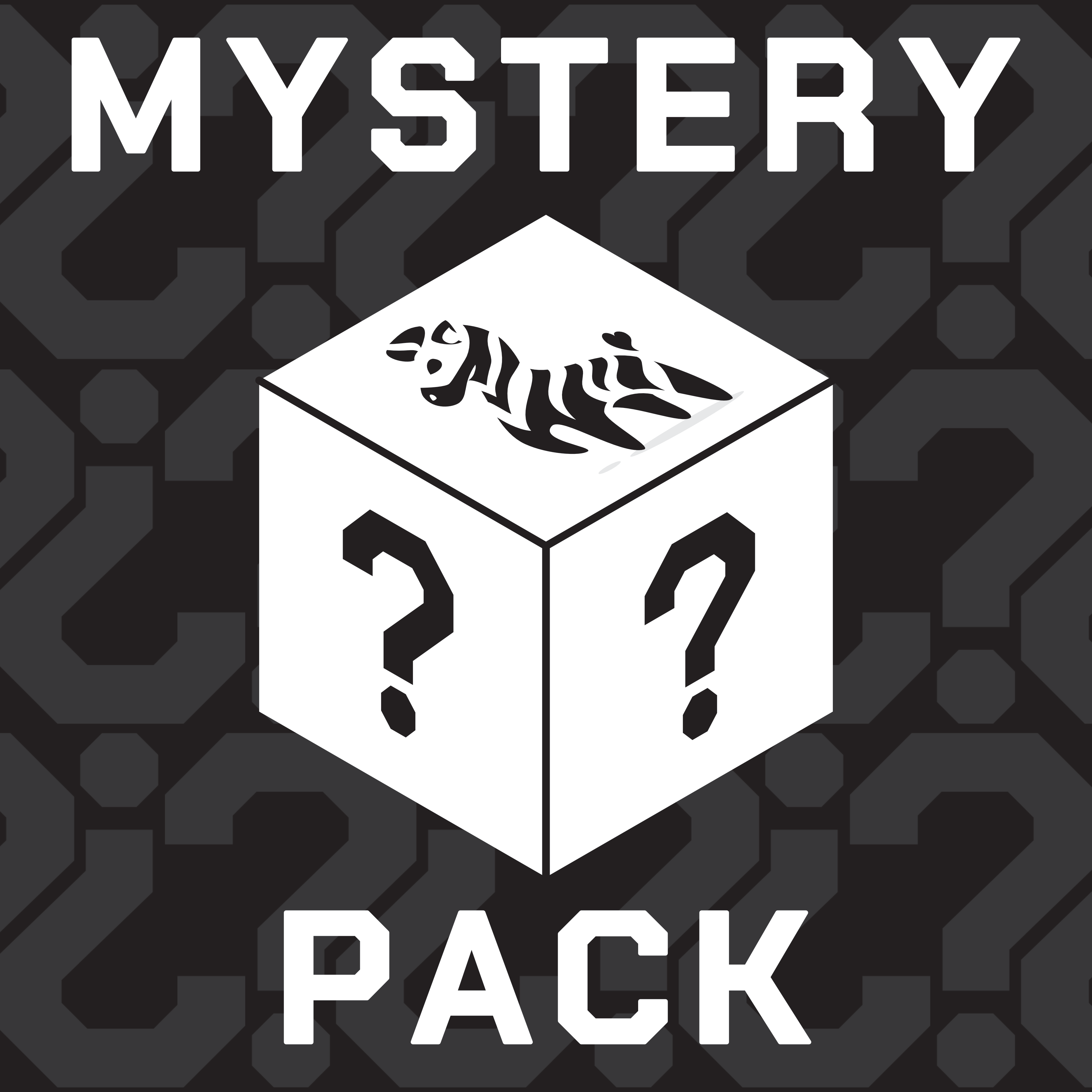 Pride Mystery Packs - Limited Qty Available | Proud Zebra