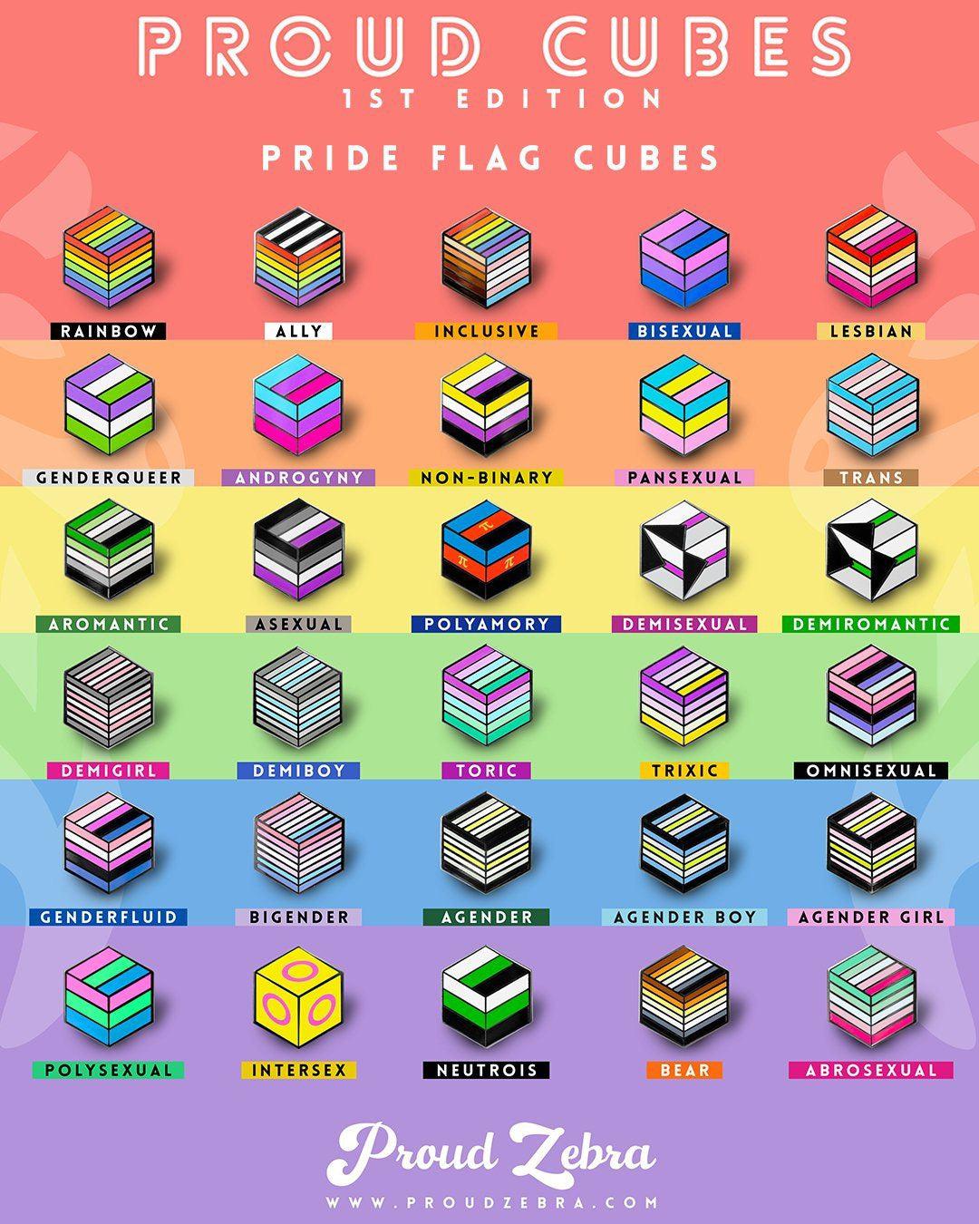 Proud Cubes - Unique Pride Pins For LGBTQ+ People & Allies | Proud Zebra